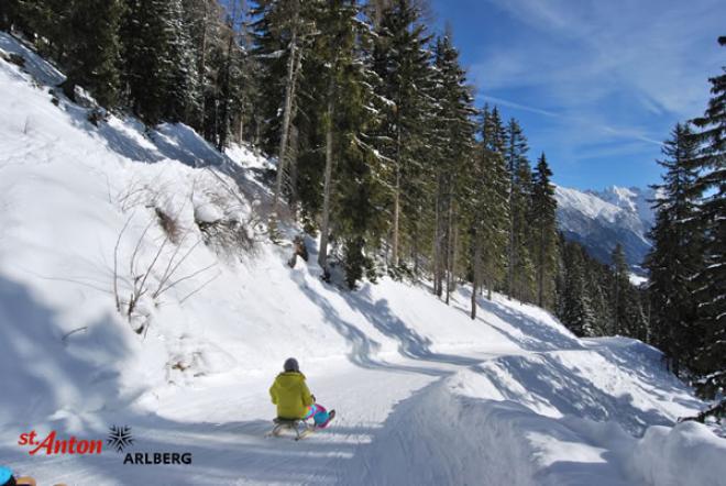 Best toboggan runs in the Alps