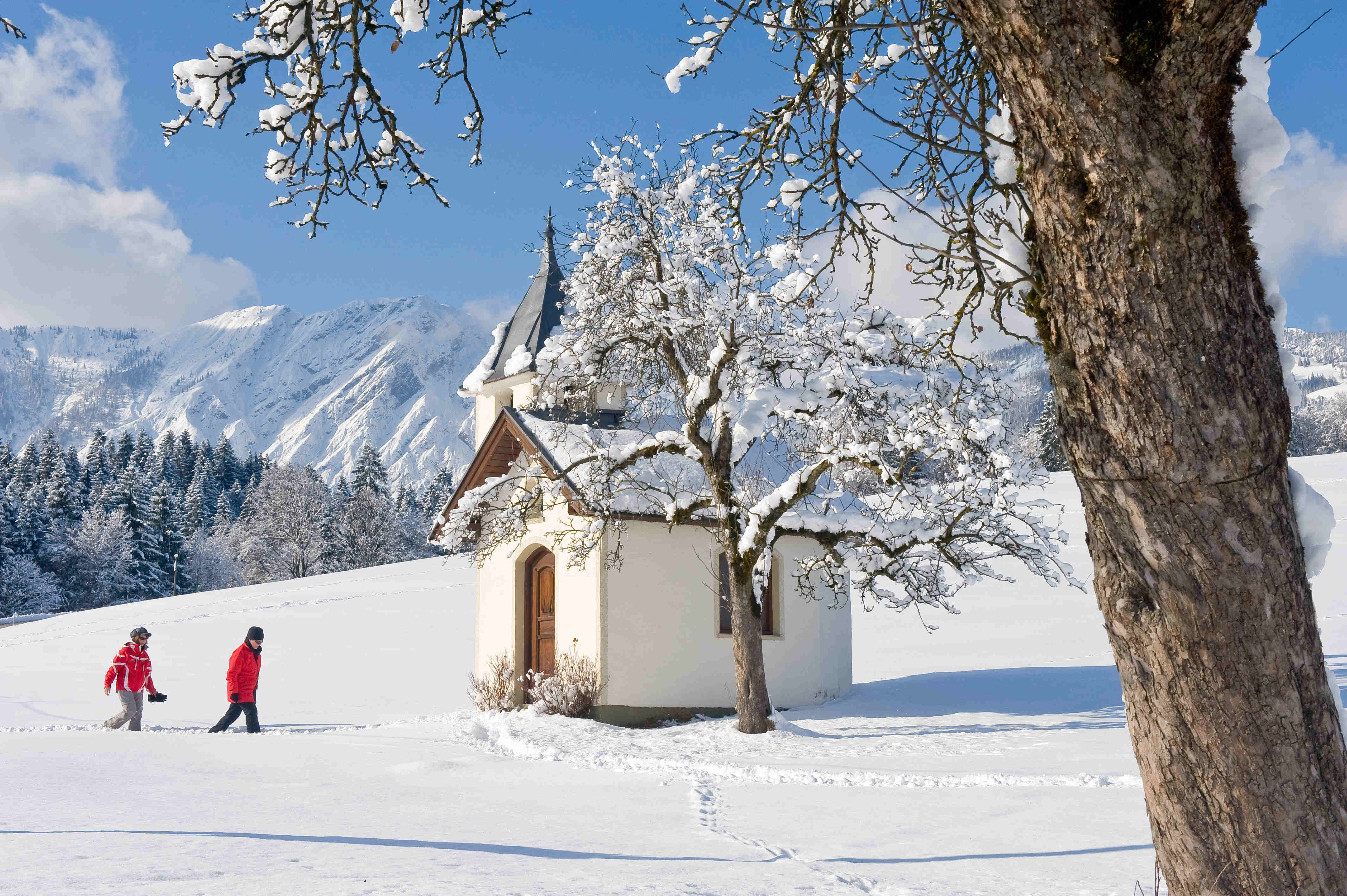 Resort guide Alpbach: maps, restaurants & information